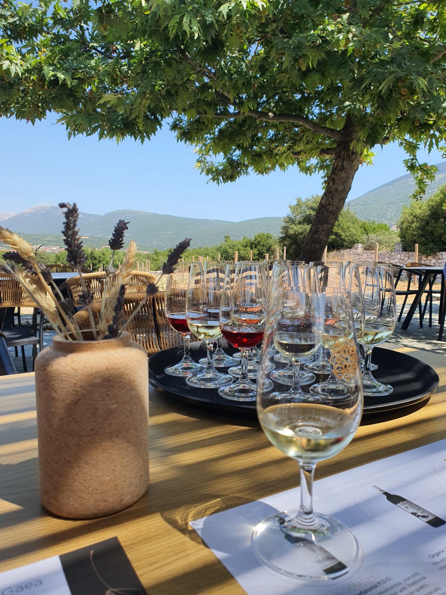 Wine Tasting on Kefalonia - Orealios Gaea - Vine Growers of Robola ...