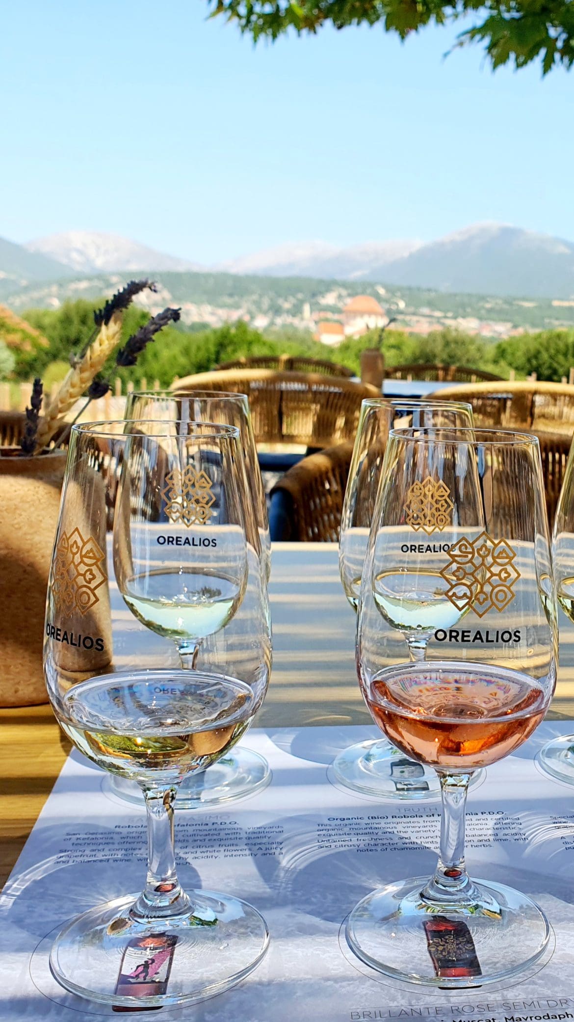 Wine Tasting on Kefalonia - Orealios Gaea - Vine Growers of Robola ...