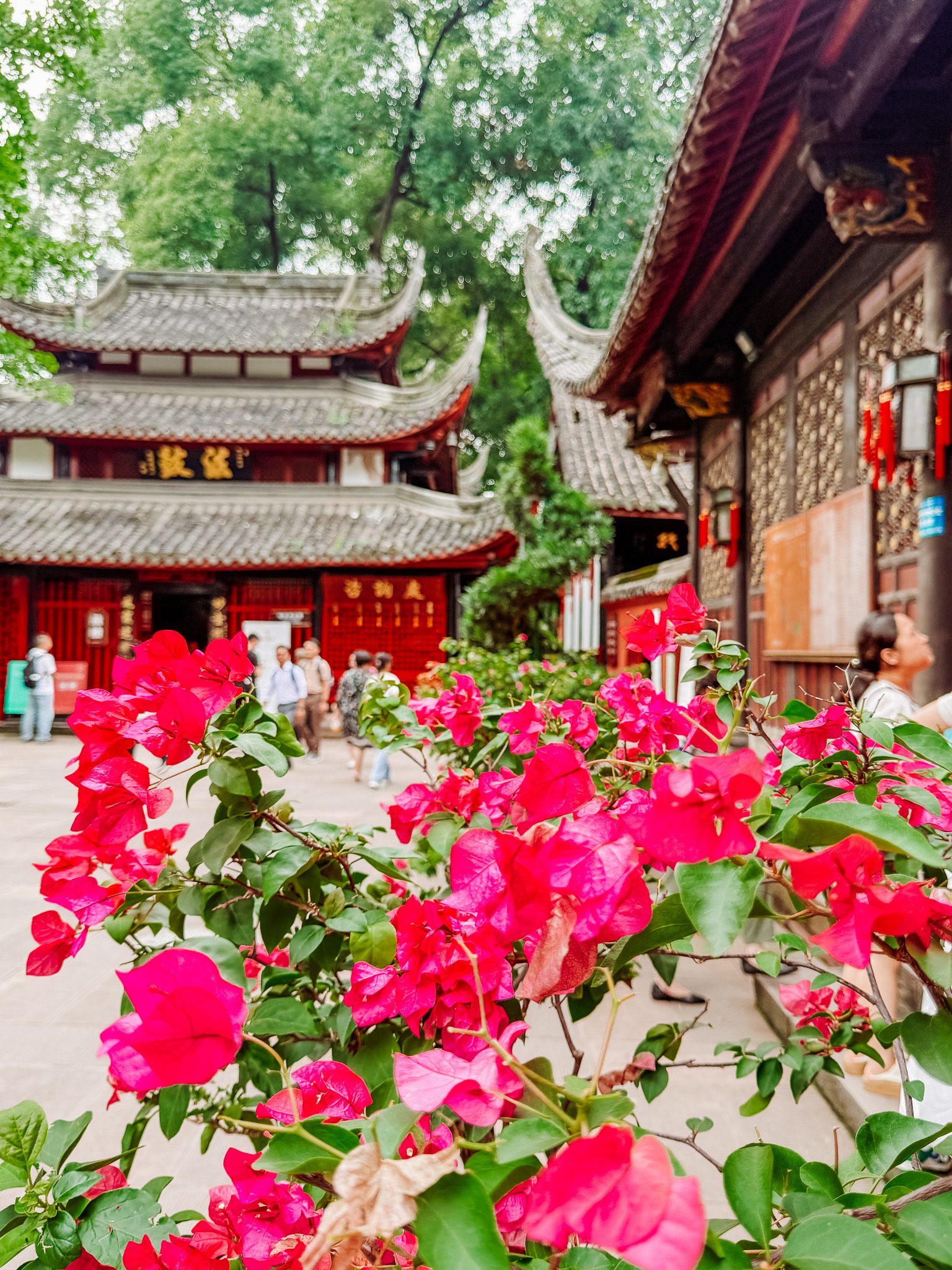 Chengdu Itinerary: How Many Days + The Perfect 1, 2 & 3 Day Plan ...